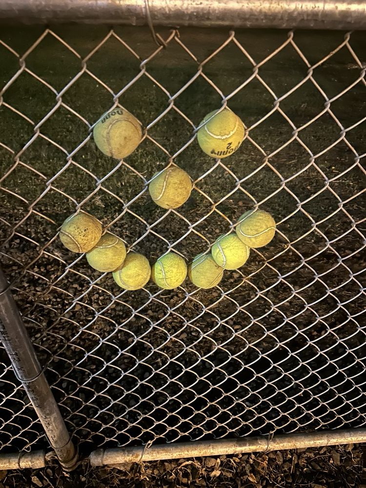 MOANALUA OFF-LEASH DOG PARK - Updated October 2025 - 138 Photos & 65 ...