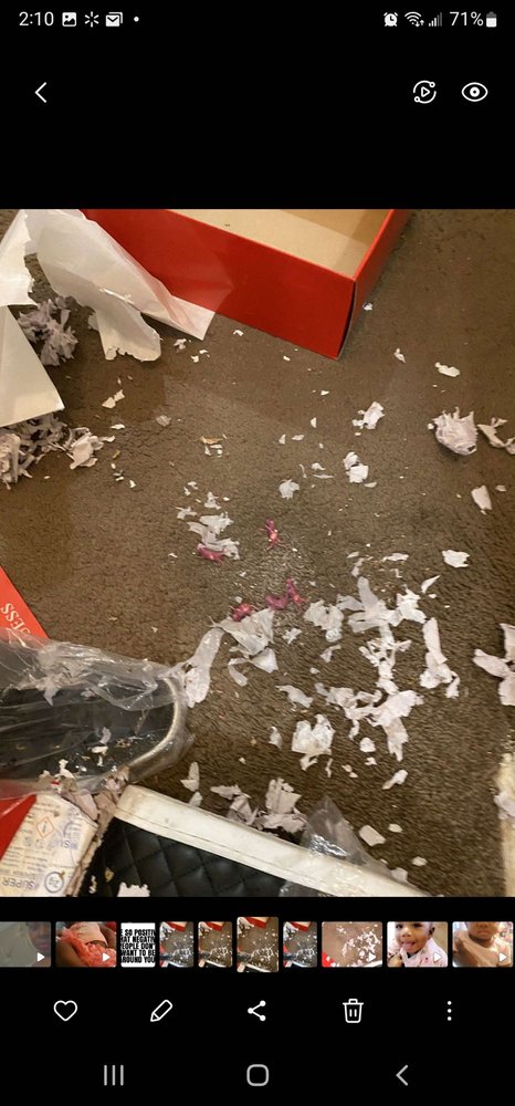 APARTMENTS ADDISON CHAPEL - Updated November 2025 - 14 Photos - 1525 ...