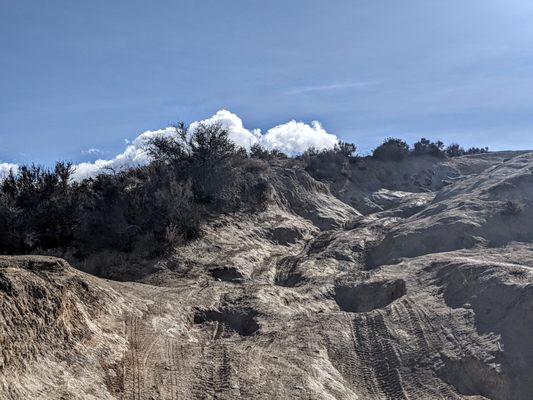 CLEGHORN RIDGE TRAIL - Updated December 2024 - 87 Photos & 18 Reviews ...