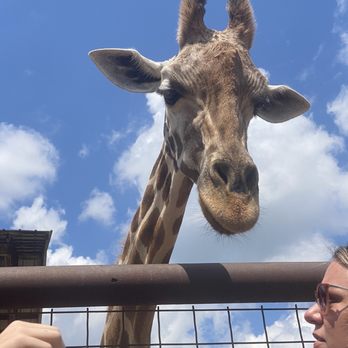 LAZY 5 RANCH - Updated June 2025 - 872 Photos & 297 Reviews - 15100 ...