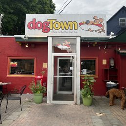 DOGTOWN - Updated January 2026 - 605 Photos & 893 Reviews - 691 Monroe ...