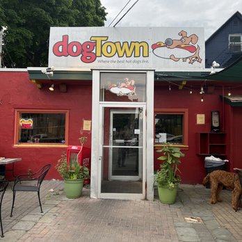 DOGTOWN - Updated April 2024 - 547 Photos & 819 Reviews - 691 Monroe ...