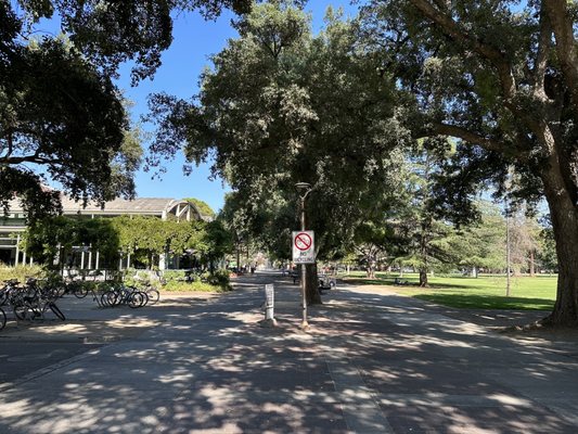 ASUCD COFFEE HOUSE COHO - Updated January 2026 - 139 Photos & 181 ...