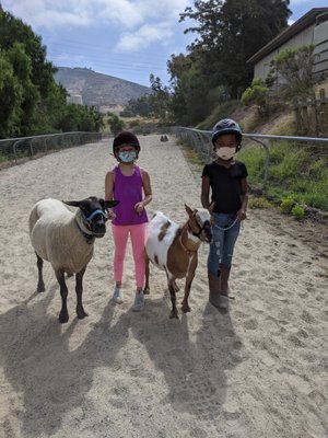 LAUGHING PONY RESCUE - Updated December 2025 - 16 Photos & 18 Reviews ...