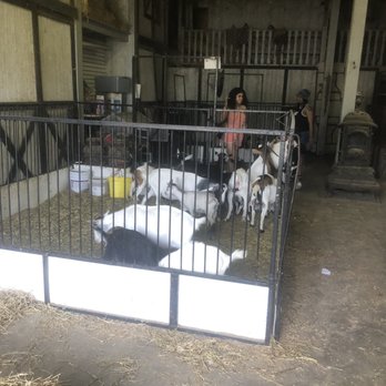 FOREST VIEW FARMS - Updated July 2024 - 57 Photos & 46 Reviews - 16717 ...