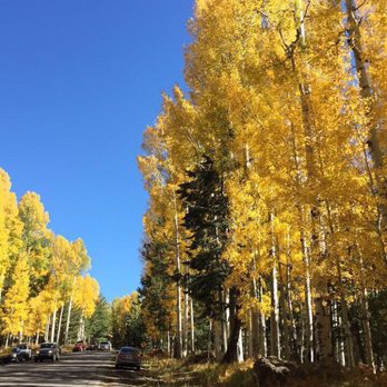 ASPEN NATURE LOOP - Updated November 2025 - 55 Photos & 17 Reviews ...