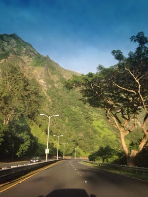 LIKELIKE HIGHWAY - Updated May 2026 - 104 Photos & 18 Reviews - Kaneohe ...