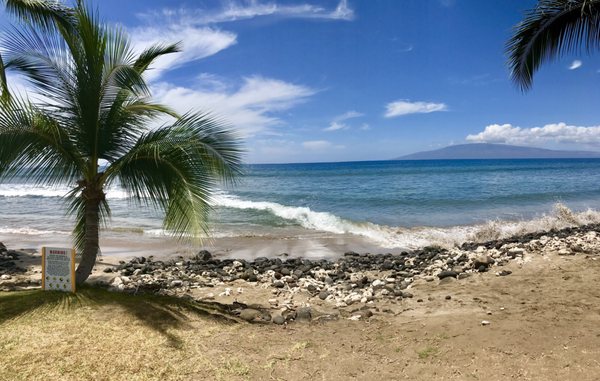 PUAMANA BEACH - TEMP. CLOSED - Updated April 2025 - 272 Pualei Dr, Lahaina, Hawaii - Beaches - Yelp