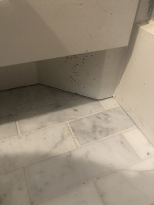 STRAND BROTHERS SERVICE EXPERTS - Updated August 2024 - 36 Photos & 542 ...