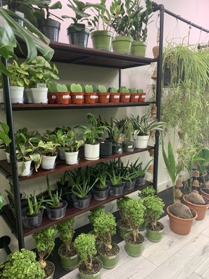 THE STANDARD DESIGN GROUP NURSERIES - Updated July 2025 - 238 Photos ...