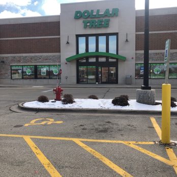 DOLLAR TREE - Updated October 2025 - 7145 Kingery Hwy, Willowbrook ...