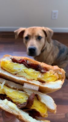 FAIRMOUNT PIZZA AND GRILL - Updated June 2024 - 124 Photos & 266 ...