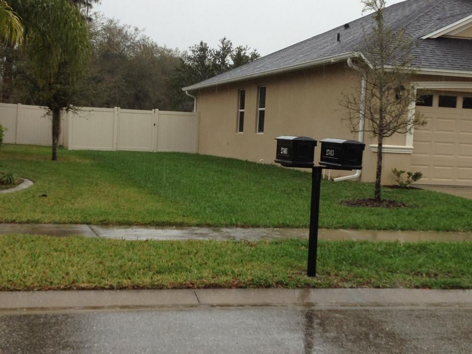 LAWN DETECTIVES - Updated November 2024 - 28 Photos - Land O' Lakes ...