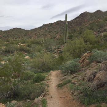 HAWES TRAIL SYSTEM - Updated August 2025 - 11 Photos - Mesa, Arizona ...