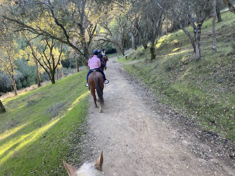 CHAPARRAL RANCH - Updated December 2025 - 187 Photos & 168 Reviews ...