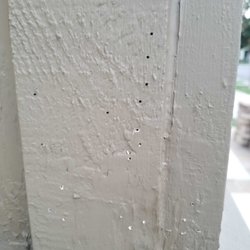 PACIFIC COAST TERMITE - 28 Photos & 215 Reviews - 1211 N Batavia St ...