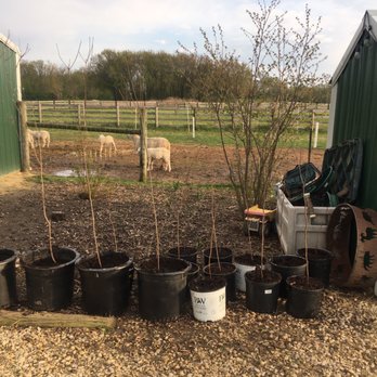 COLD STREAM FARM - Updated December 2025 - 13 Photos & 14 Reviews ...