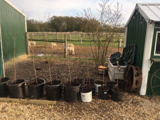 COLD STREAM FARM - Updated June 2024 - 13 Photos - 8585 N Stephens Rd ...