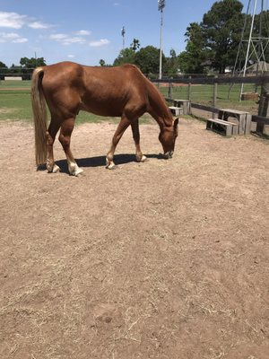 WUNDERLICH FARM AND HISTORIC KLEIN - 20 Photos - 18218 Theiss Mail Rt ...