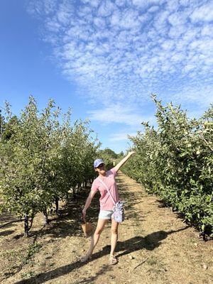 VOLCAN VALLEY APPLE FARM - Updated December 2025 - 260 Photos & 138 ...