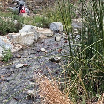 UCLA MATHIAS BOTANICAL GARDEN - Updated January 2026 - 462 Photos & 117 ...