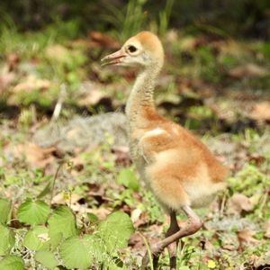 THREE LAKES RV COMMUNITY - Updated May 2025 - 27 Photos - 10354 Smooth ...