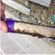 D-BUG PEST CONTROL - Updated October 2025 - 20 Photos - 456 Frye Farm ...