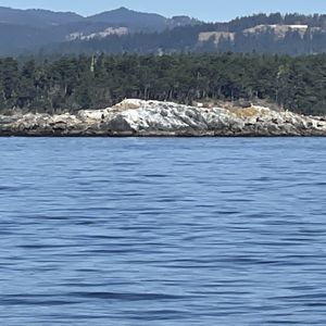 PUGET SOUND EXPRESS - 101 Photos & 42 Reviews - 459 Admiral Way ...