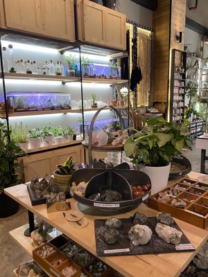 URBAN SPROUTS - 218 Photos & 112 Reviews - 724 S 3rd St, Renton ...