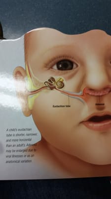 ENT MEMPHIS: DR. RANDE HARRIS LAZAR - Updated October 2025 - 14 Photos ...