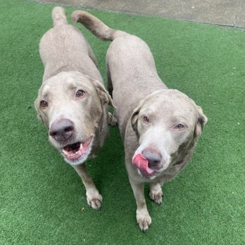 RUTHERFORD VETERINARY HOSPITAL - Updated November 2025 - 37 Photos & 93 ...