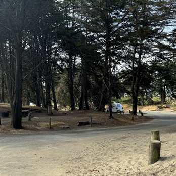 BODEGA DUNES CAMPGROUNDS - Updated October 2025 - 311 Photos & 108 ...