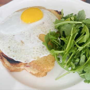 ZINNIA - Updated December 2025 - 515 Photos & 281 Reviews - 9201 ...