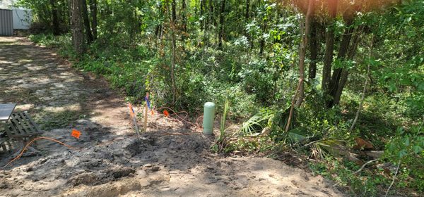 SPECTRUM - Updated December 2025 - 51 Photos & 323 Reviews - 1906 S ...