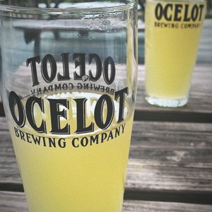 OCELOT BREWING COMPANY - 229 Photos & 182 Reviews - 23600 Overland Dr ...