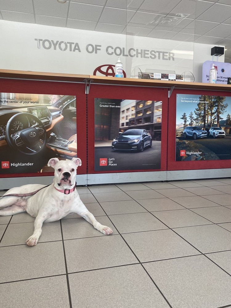TOYOTA OF COLCHESTER - Updated June 2024 - 25 Photos & 27 Reviews - 100 ...