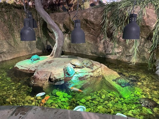 BLUE ZOO AQUARIUM DES MOINES - Updated November 2024 - 25 Photos - 6925 ...