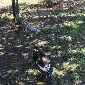 MAGNOLIA BIRD FARM - Updated August 2025 - 153 Photos & 198 Reviews ...