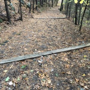 BUCKMASTER POND - Updated December 2025 - 12 Photos - 350 Pond St ...