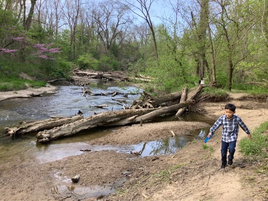 FERRETTIE/BAUGO CREEK COUNTY PARK - 10 Photos - 57057 Ash Rd, Osceola ...