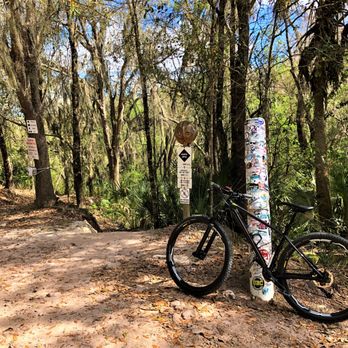 BALM BOYETTE SCRUB PRESERVE - Updated December 2025 - 50 Photos & 10 ...