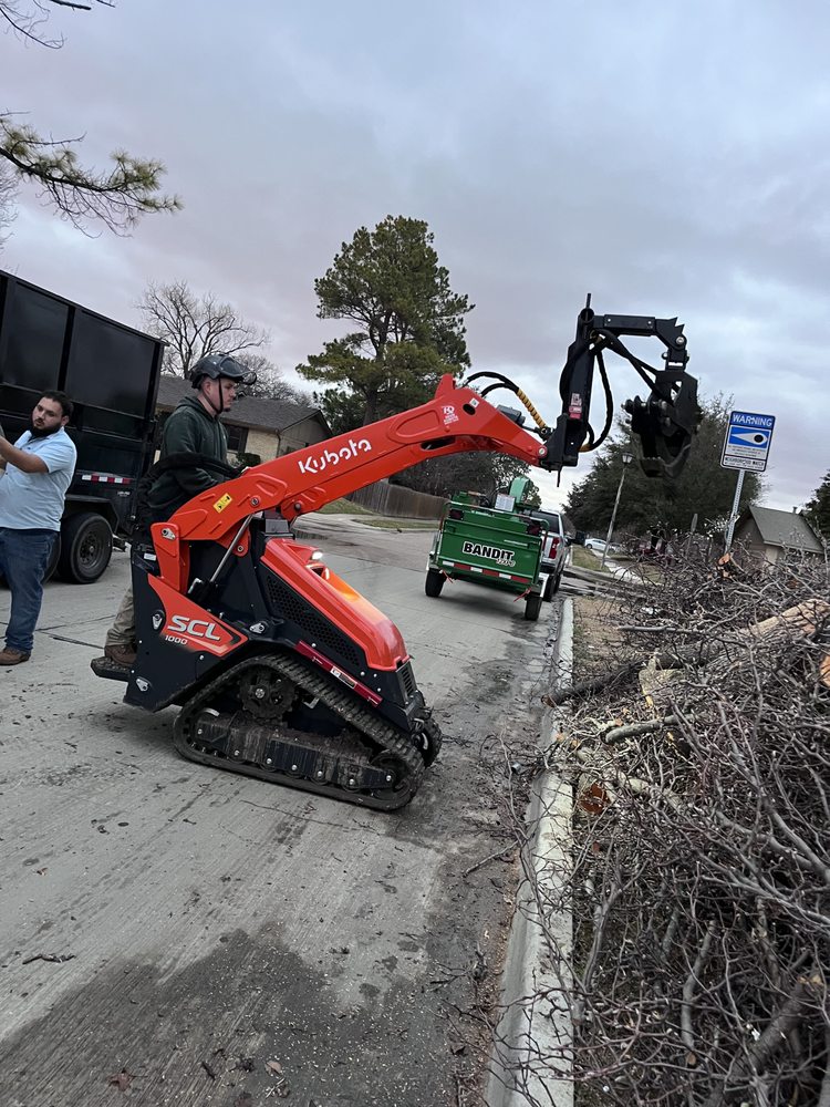DALLAS TREE TRIMMING & REMOVAL SERVICE - Updated September 2025 - 39 ...