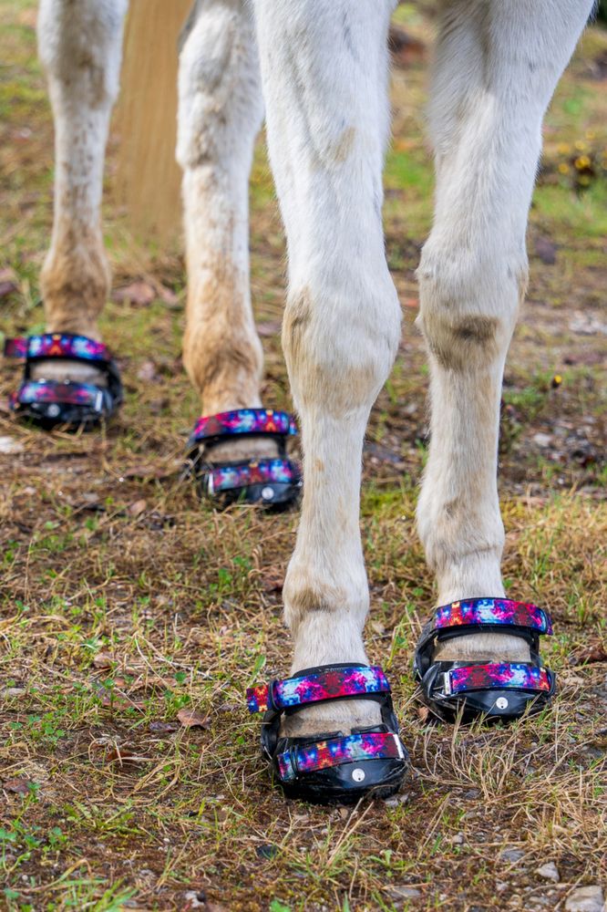 RENEGADE HOOF BOOTS - Updated August 2025 - 31 Photos - 9000 Transport ...