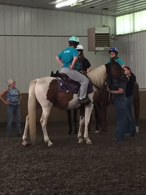 JACK PINE STABLES - Updated December 2024 - 12 Photos - 23940 291st Ave ...