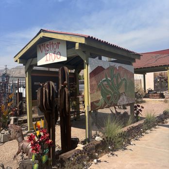 CACTUS MART - Updated January 2025 - 350 Photos & 163 Reviews - 49889 ...