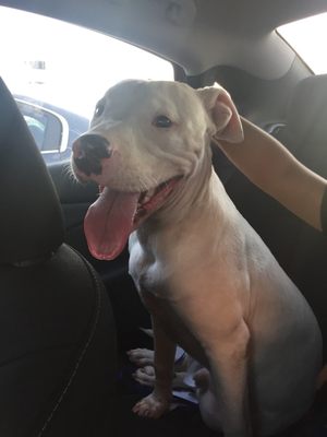 CMPD ANIMAL CARE AND CONTROL - 30 Photos & 20 Reviews - 8315 Byrum Dr ...