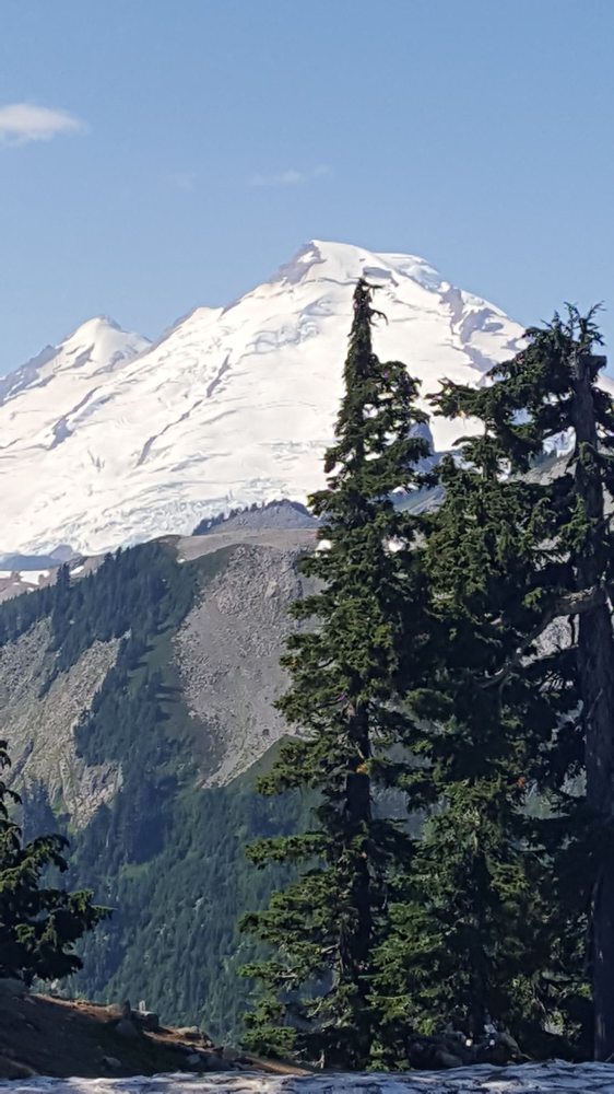 ARTIST POINT TRAILHEAD - Updated July 2025 - 108 Photos & 12 Reviews ...