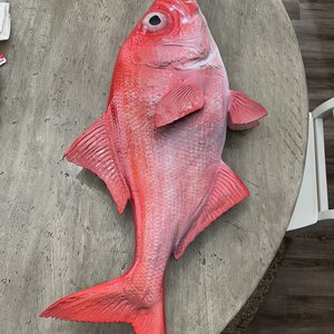 GRAY TAXIDERMY - 88 Photos & 121 Reviews - 712 NW 12th Ave, Pompano ...