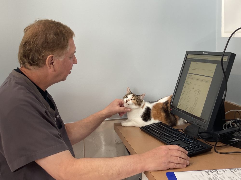 SUNSHINE ANIMAL HOSPITAL - Updated December 2025 - 75 Photos & 114 ...