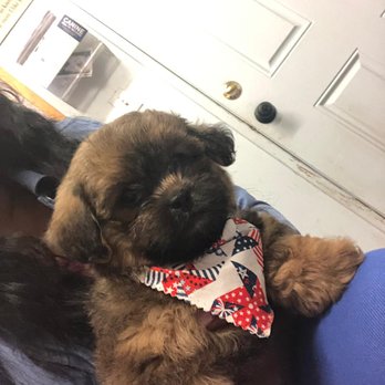 HOWDEE KENNEL - Updated December 2025 - 9310 Hammer Rd, Lynden ...